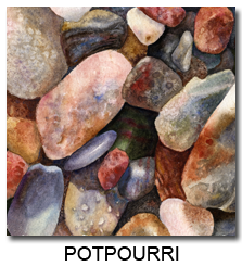 Anne Gifford Fine Artist